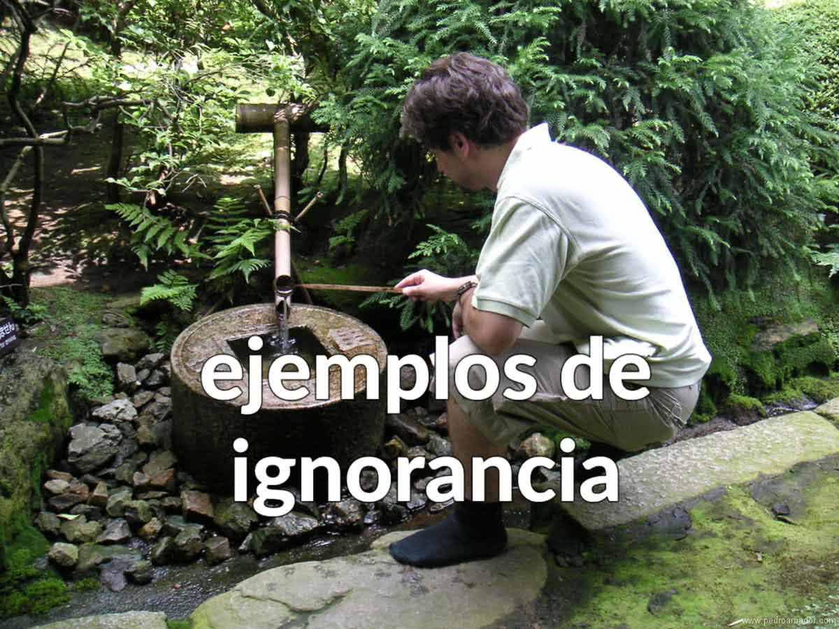 10 ejemplos de ignorancia ⭐